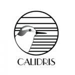 Inicio - Calidris